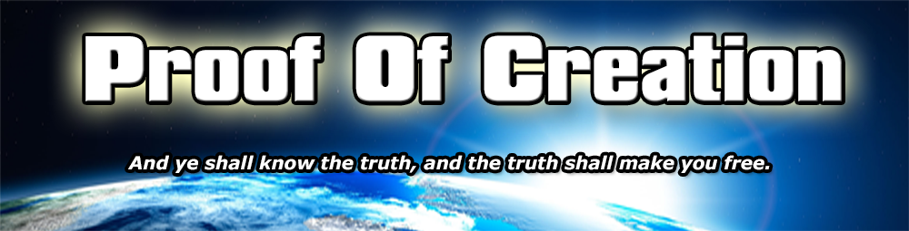 Proof Of Creation - Home Page